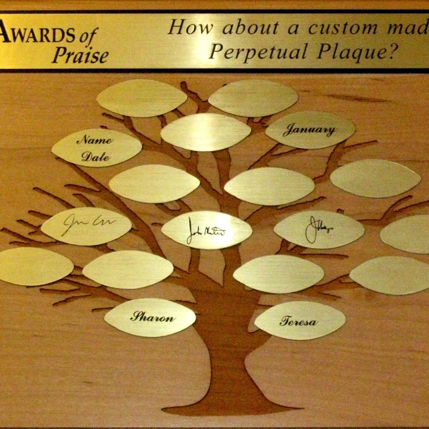 Awards Of Praise - Your Recognition Resource